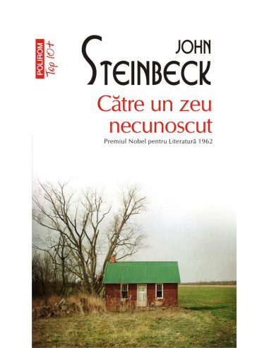 Către un zeu necunoscut